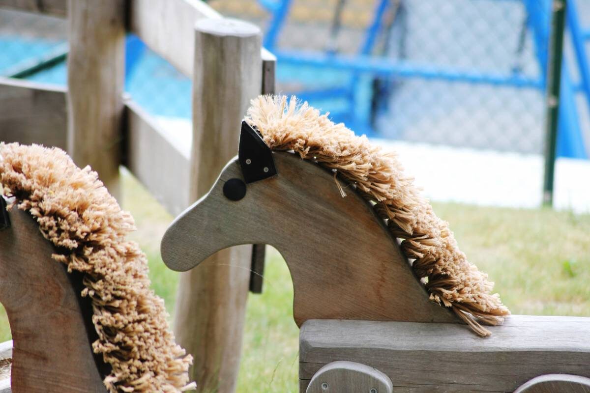 Initiez votre ado au hobby horse